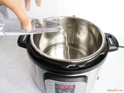 Instant Pot Water Test - Piping Pot Curry