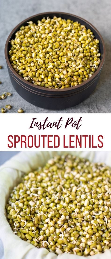 How to Sprout Lentils (with Instant Pot option) - Piping Pot Curry