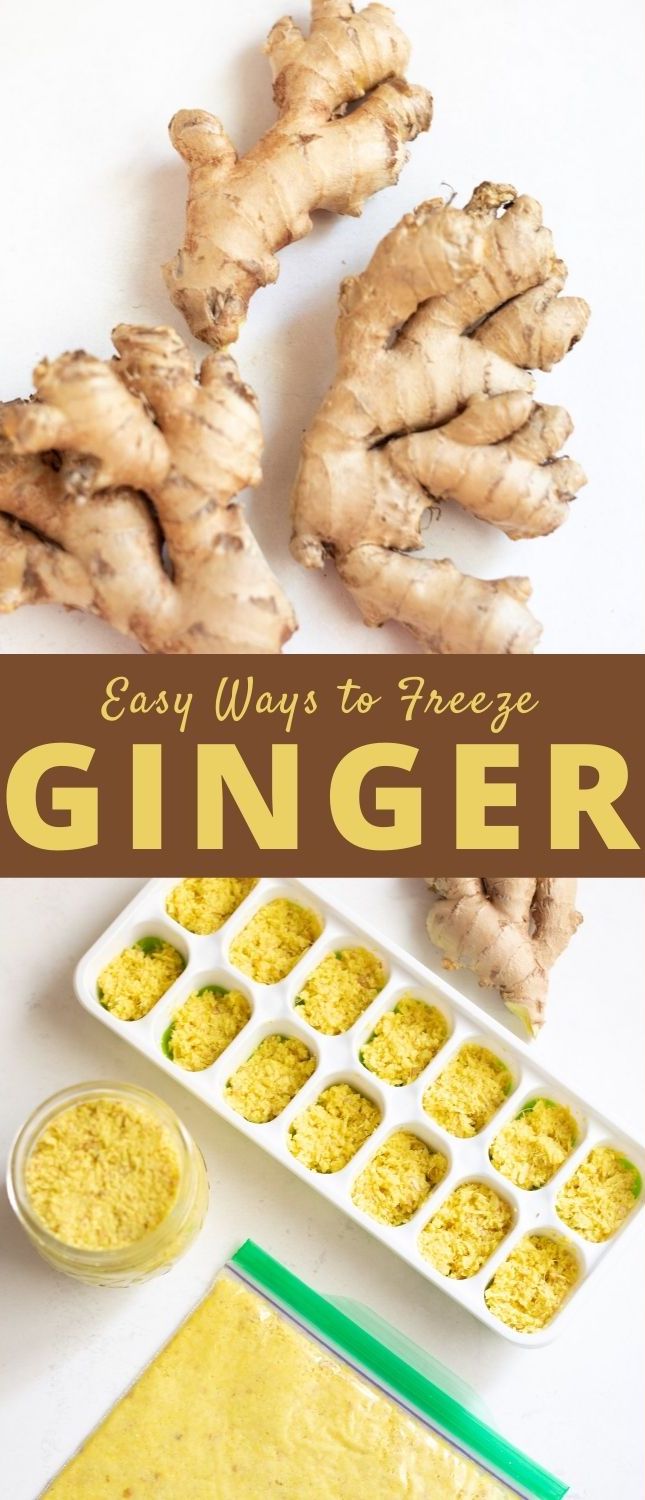 How to Buy and Store Ginger? - Piping Pot Curry