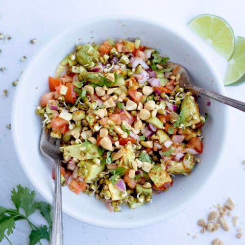 Easy Sprouts Salad (Sprouted Mung Bean Salad) - Piping Pot Curry