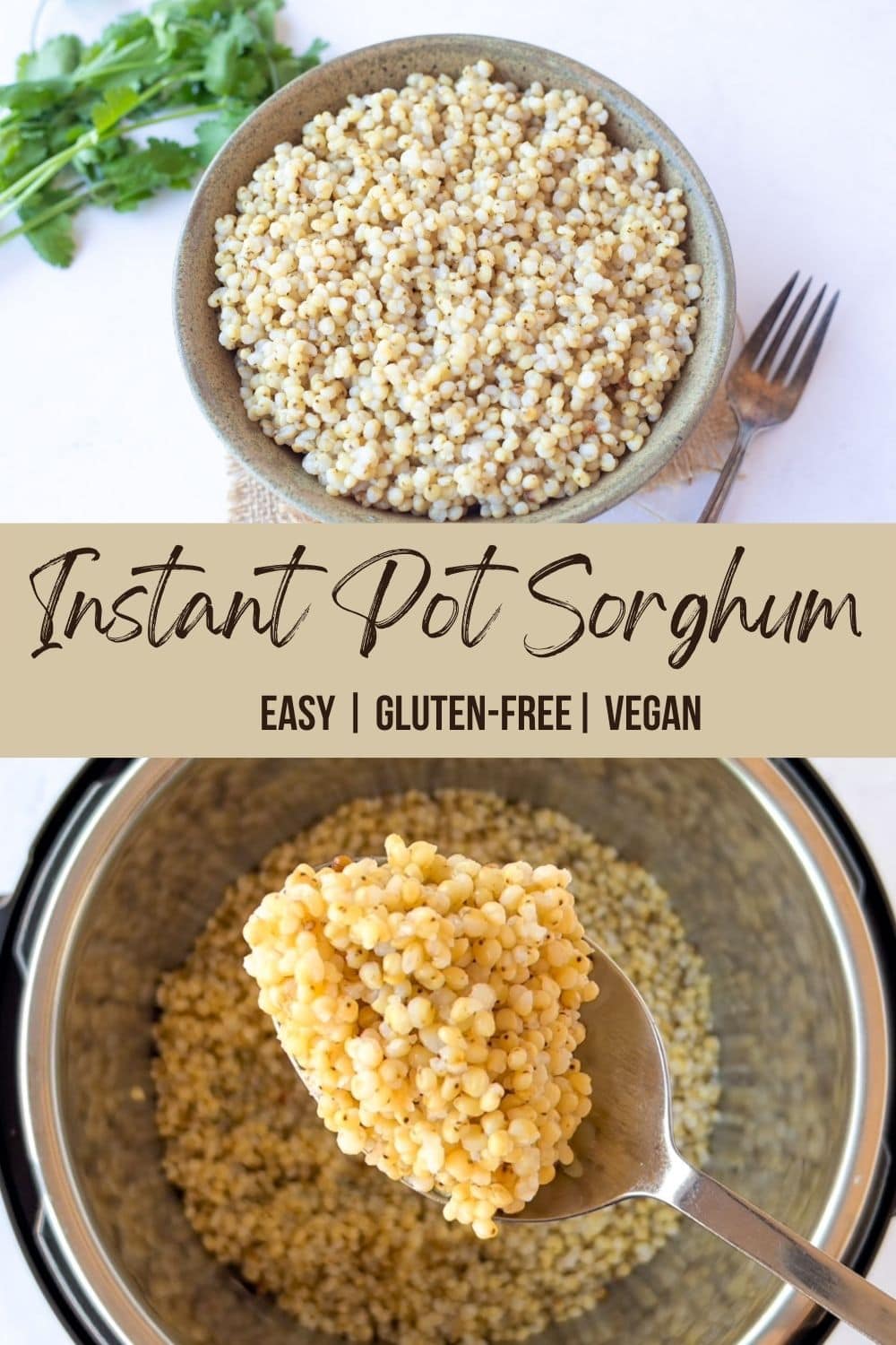 How to cook Sorghum? - Piping Pot Curry