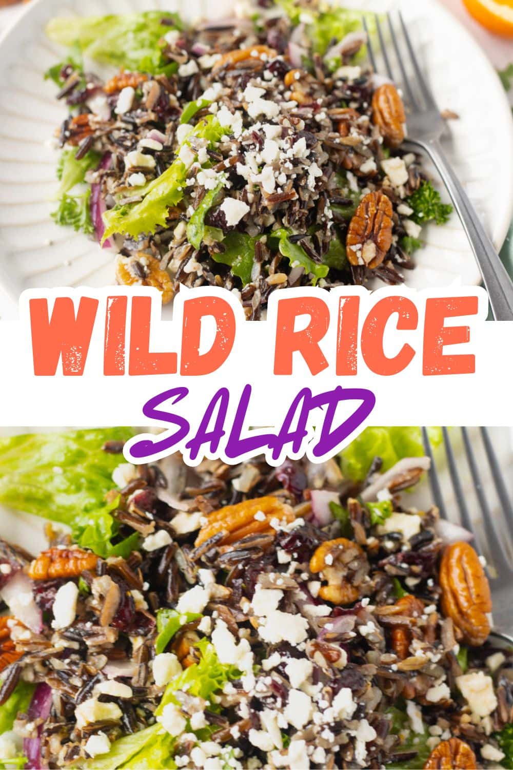 Wild Rice Salad (with Cranberries and Pecans) - Piping Pot Curry
