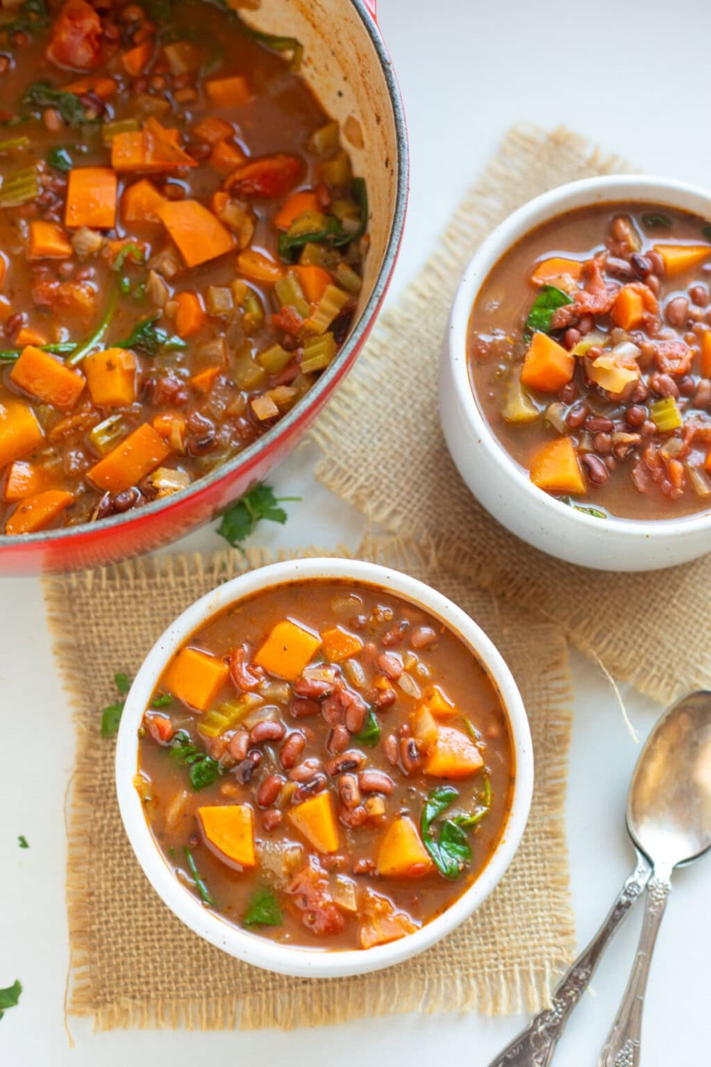 Adzuki Bean Soup - Piping Pot Curry