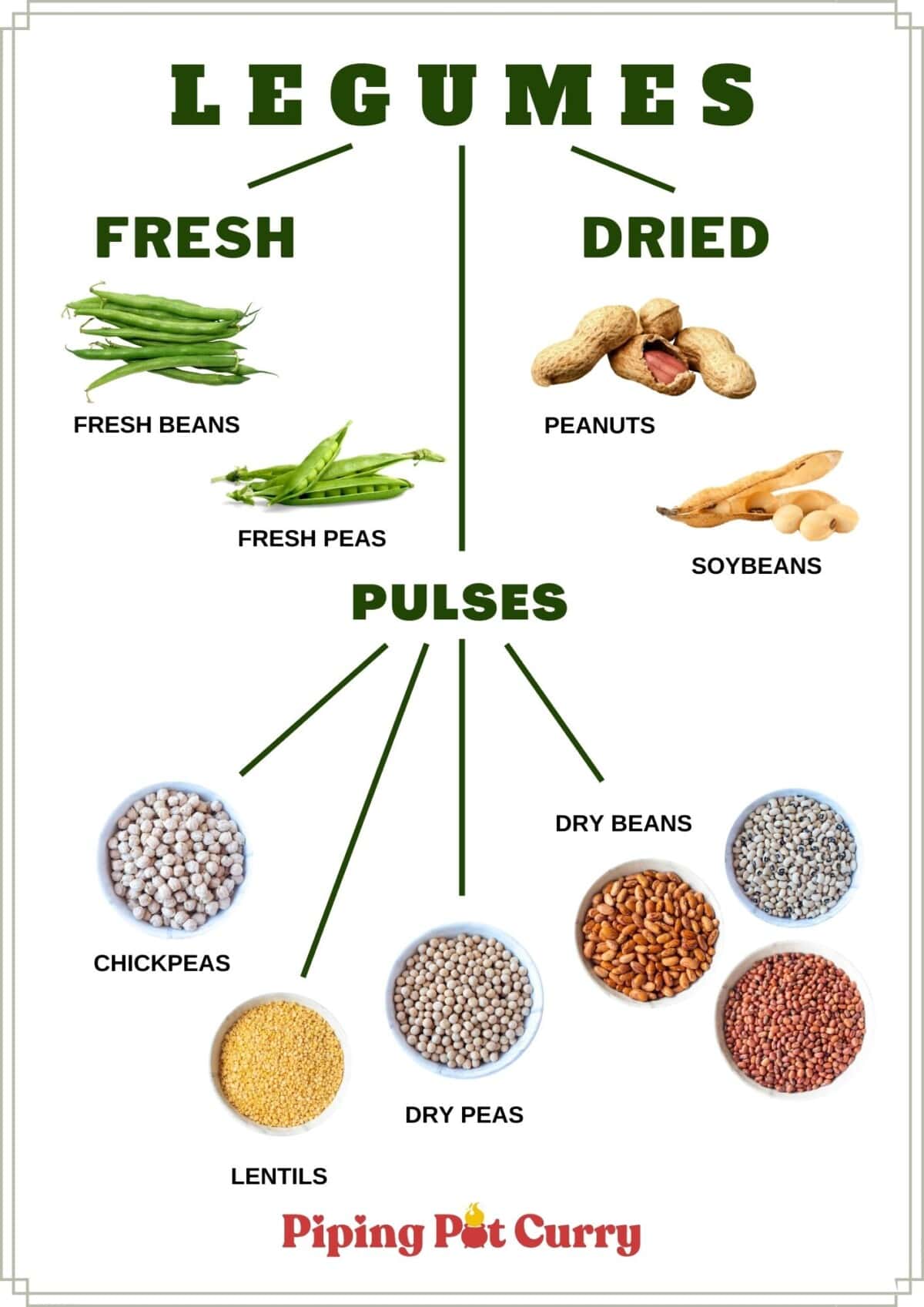 Indian Pulses - A detailed guide - Piping Pot Curry